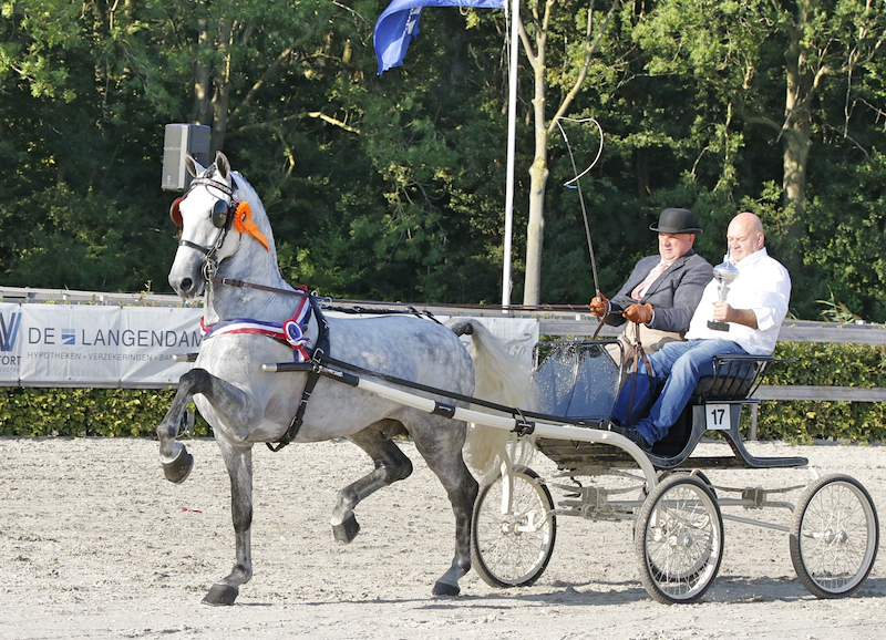 Lambertus Huckriede wint met Magnifiek hengstencompetitie - Nieuws.Horse